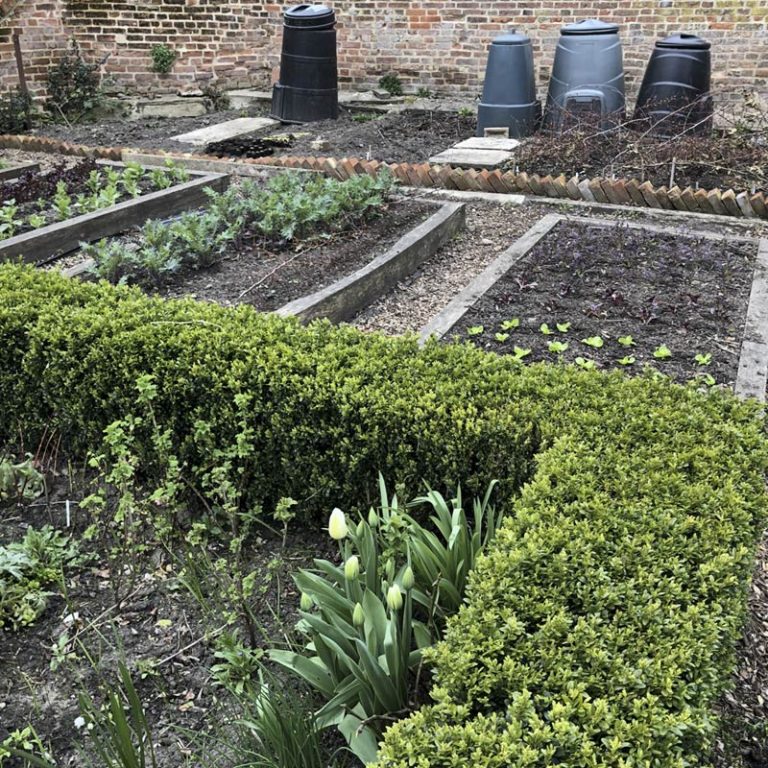 The Bircham Centre Walled Garden – Bircham Centre